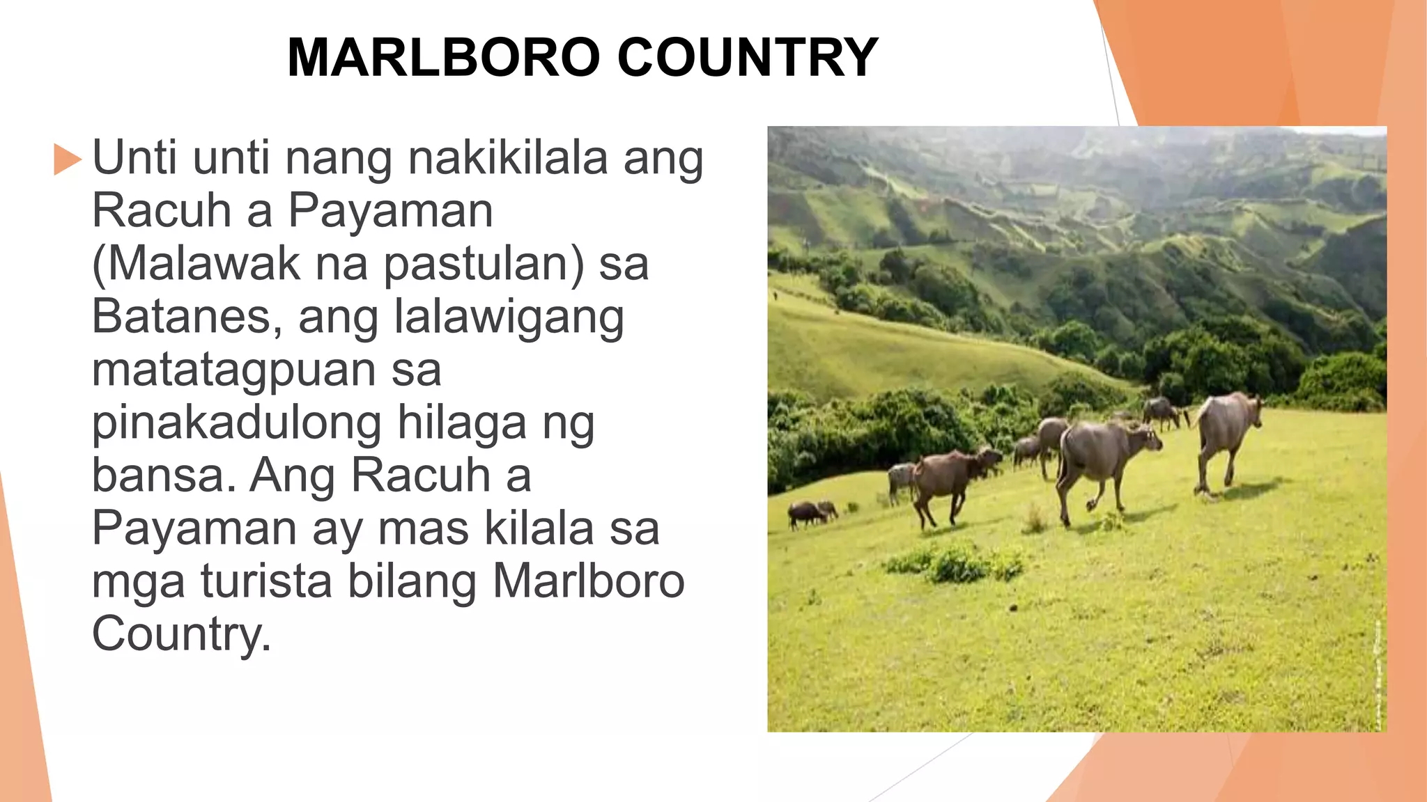 CIVICS 2 Mga Natatanging Tanawin.pptx