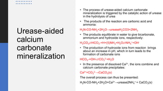 civil and environmental.pptx