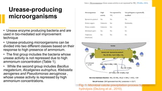 civil and environmental.pptx
