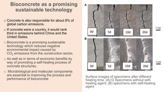 civil and environmental.pptx