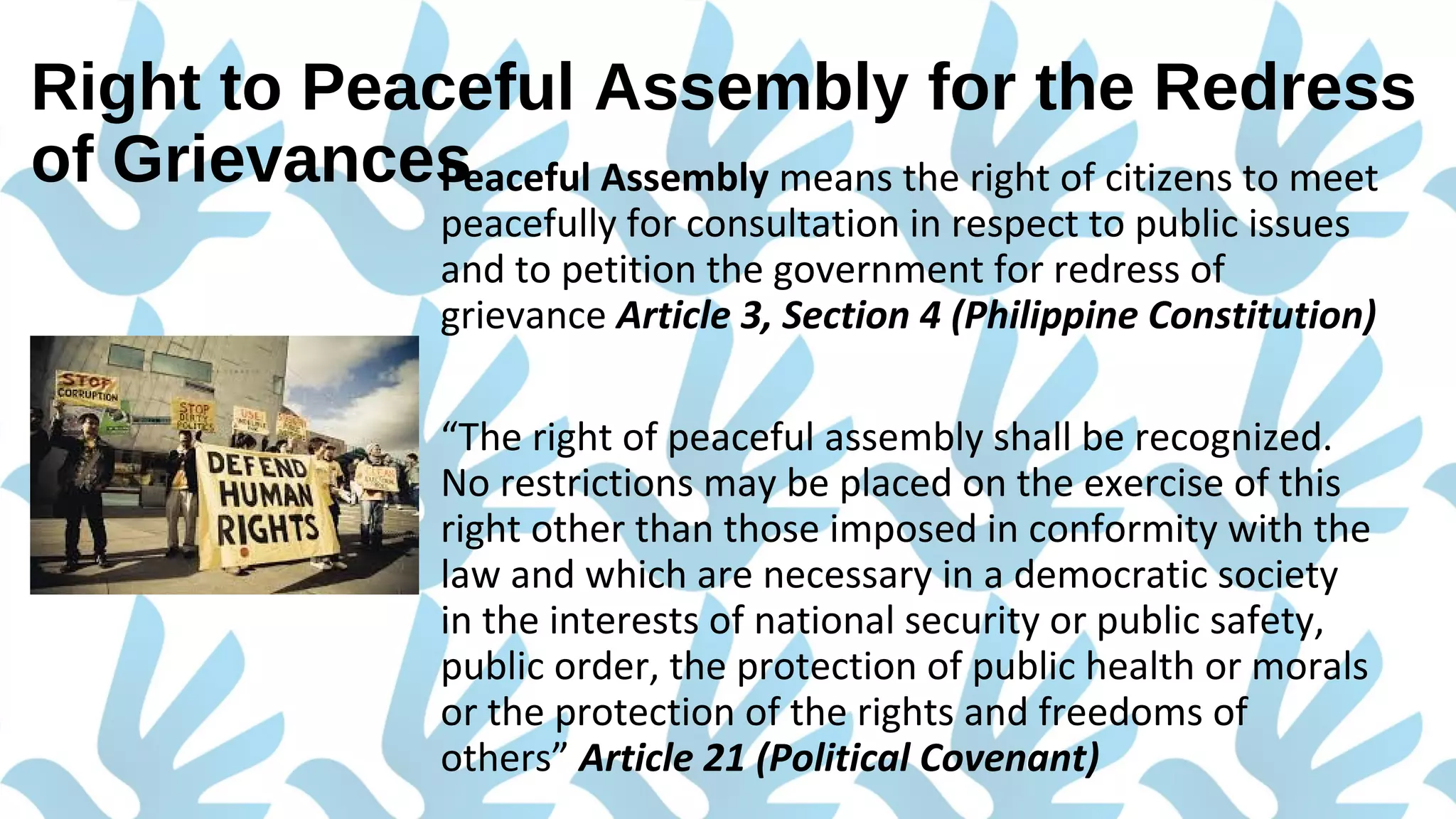 Civil and Political Rights | PPT