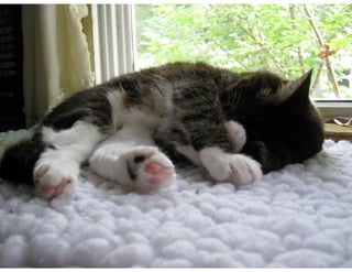 Civil Engr Rain Garden Zero Runoff | PDF