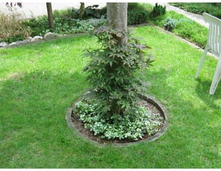 Civil Engr Rain Garden Zero Runoff | PDF