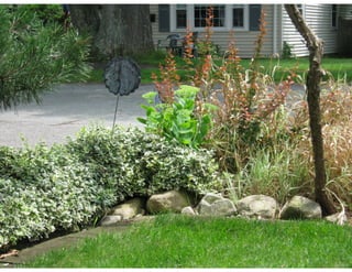 Civil Engr Rain Garden Zero Runoff | PDF