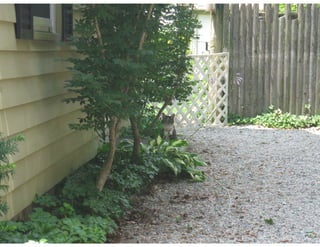 Civil Engr Rain Garden Zero Runoff | PDF