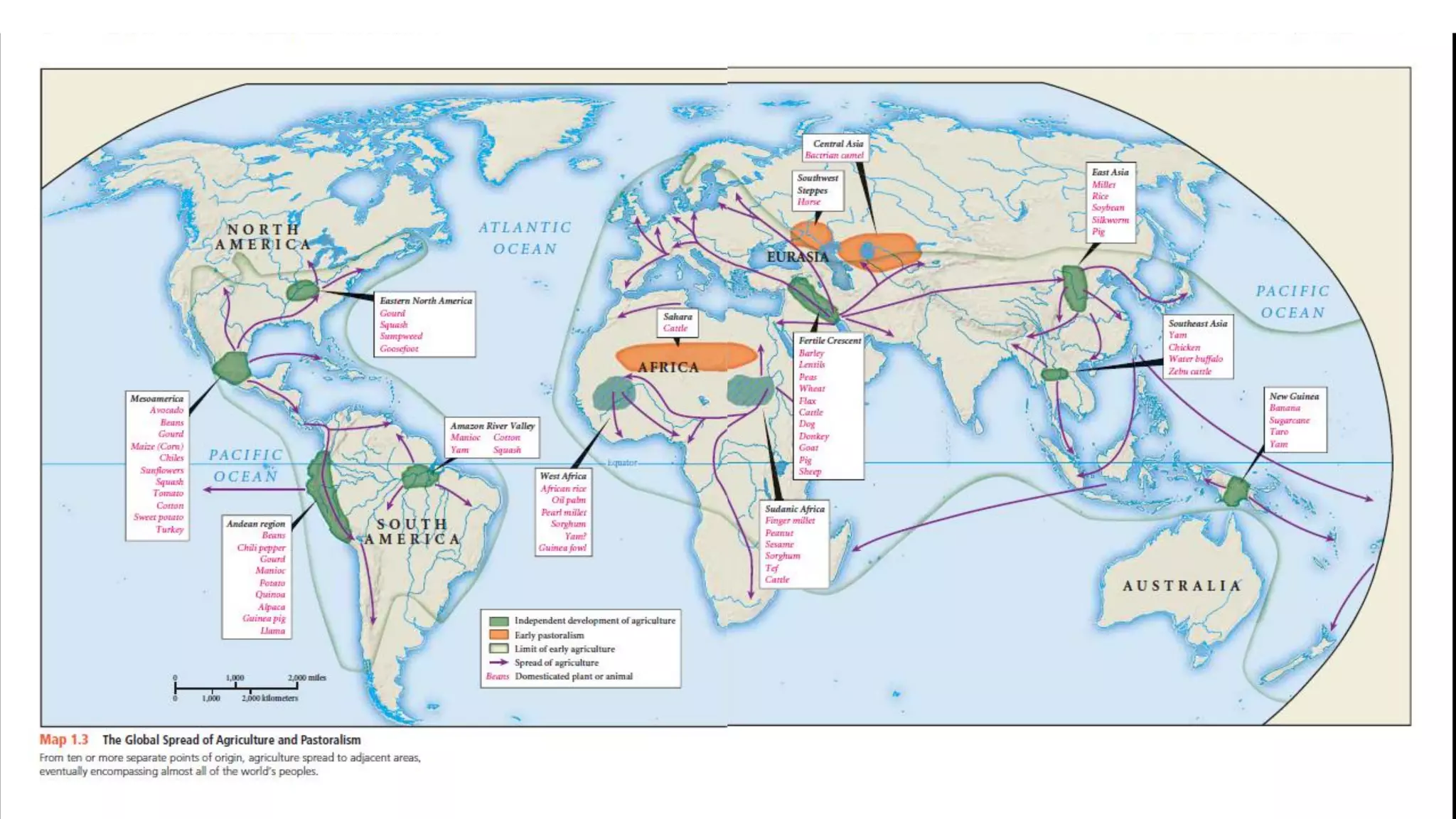 Civilization: Definition and Characteristics | PDF