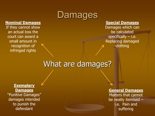 Civil Law Damages | PPTX