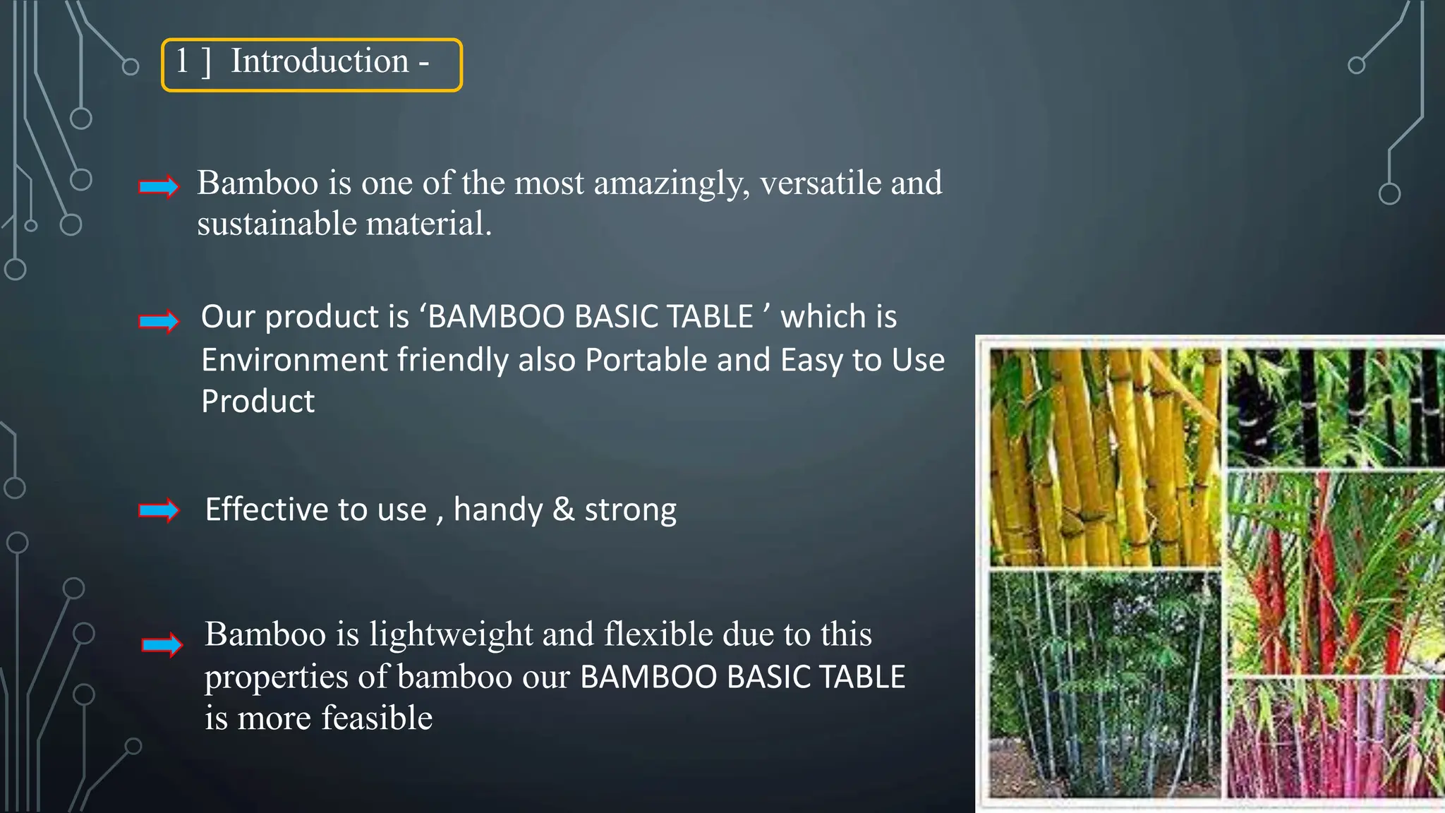 The project topic is BAMBOO BASIC TABLE | PPT