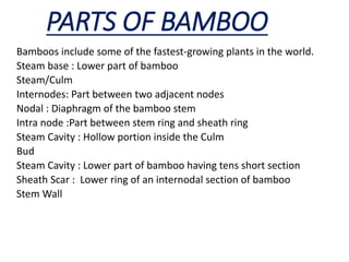 CIVIL PROTOTYPE PPT on bamboo - Mayuri Gawande.pptx