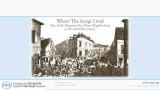 Evolution of Gangs in the U.S. (CJ 471) | PPTX