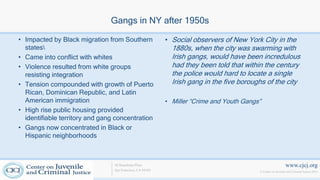 Evolution of Gangs in the U.S. (CJ 471) | PPTX