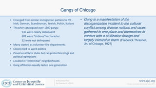 Evolution of Gangs in the U.S. (CJ 471) | PPT