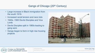 Evolution of Gangs in the U.S. (CJ 471) | PPTX