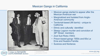 Evolution of Gangs in the U.S. (CJ 471) | PPT