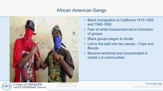 Evolution of Gangs in the U.S. (CJ 471) | PPTX