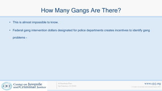 Evolution of Gangs in the U.S. (CJ 471) | PPT