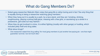 Evolution of Gangs in the U.S. (CJ 471) | PPT
