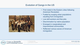 Evolution of Gangs in the U.S. (CJ 471) | PPT