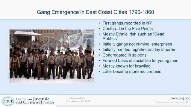 Evolution of Gangs in the U.S. (CJ 471) | PPT