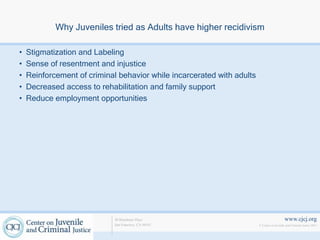 Juveniles in Adult Courts and Prisons (CJ 471) | PPT