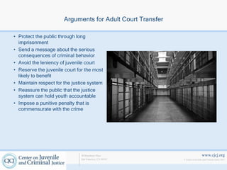 Adult Court System