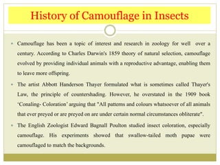 Camouflage in Insects - The Mimic Masters | PPTX