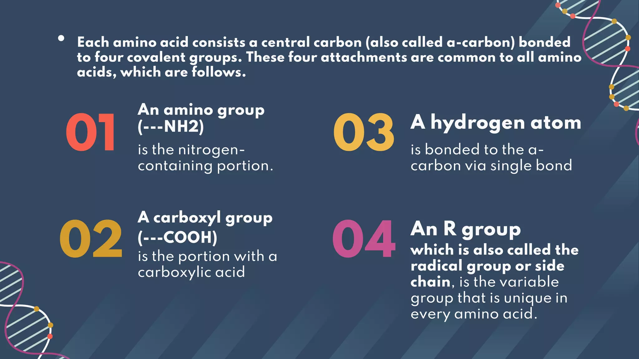 Structures and Functions of Biological Molecules Grade 11 Biology.pptx