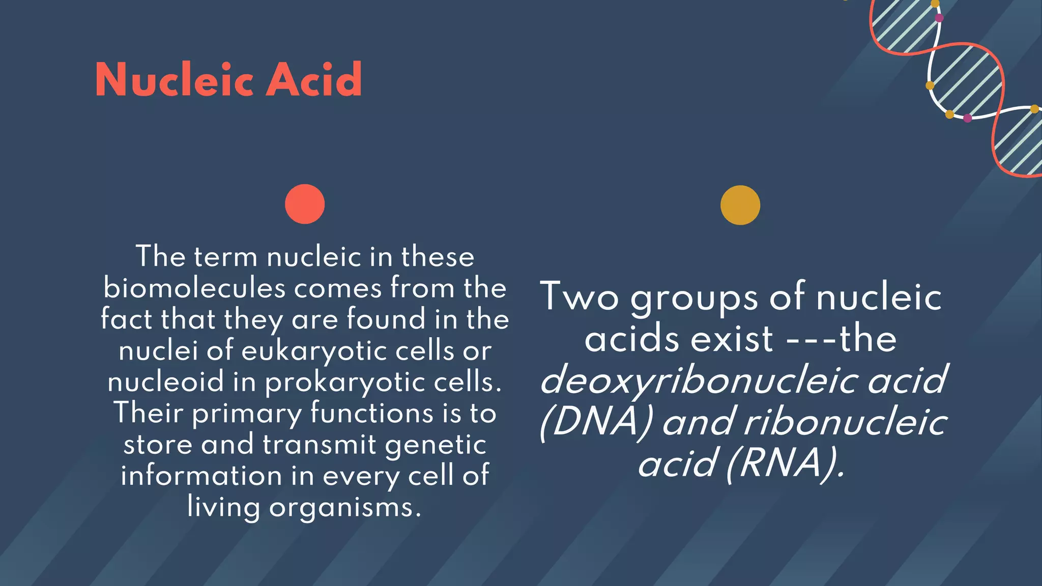 Structures and Functions of Biological Molecules Grade 11 Biology.pptx