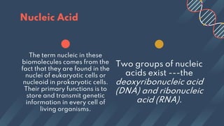 Structures and Functions of Biological Molecules Grade 11 Biology.pptx
