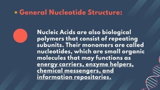 Structures and Functions of Biological Molecules Grade 11 Biology.pptx