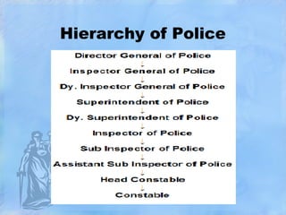 Criminal Justice System | PPTX