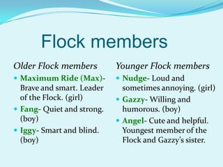 Maximum Ride CJ | PPTX