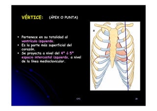 5CFC_-_CORAZON_1.pdf
