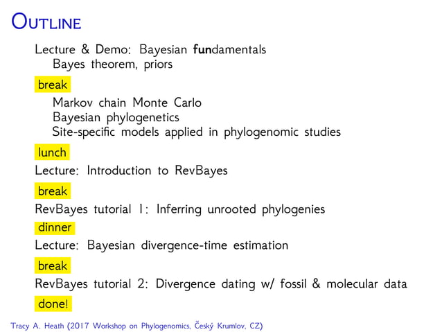 Introduction to Bayesian Phylogenetics | PPT