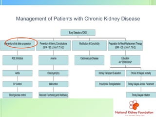 Ckd | PPT