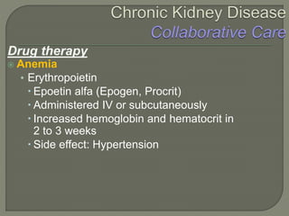 chronic kidney disease.ppt