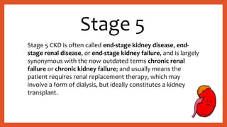 Chronic Renal Disease (CKD) | PPT