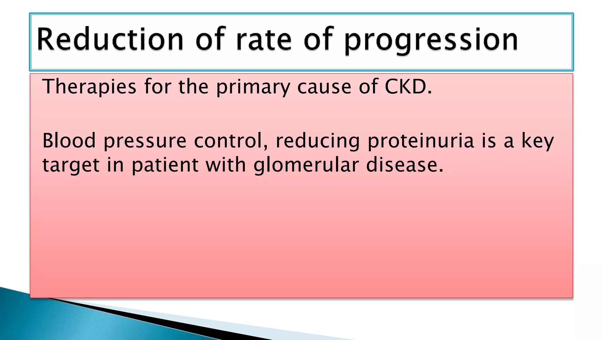 CKD (Chronic Kidney Disease) | PPTX