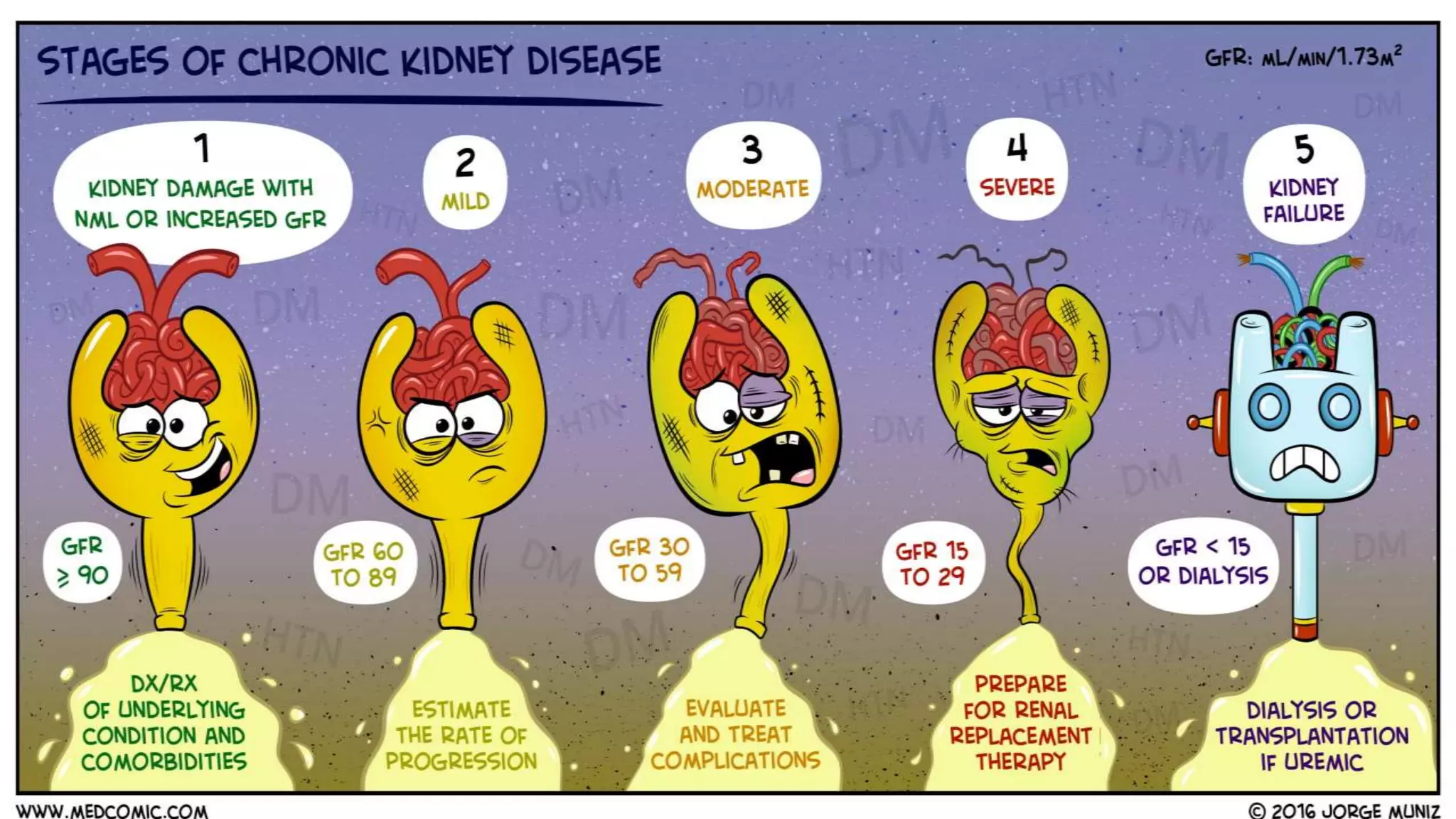 Chronic Kidney Disease (CKD) | PPTX
