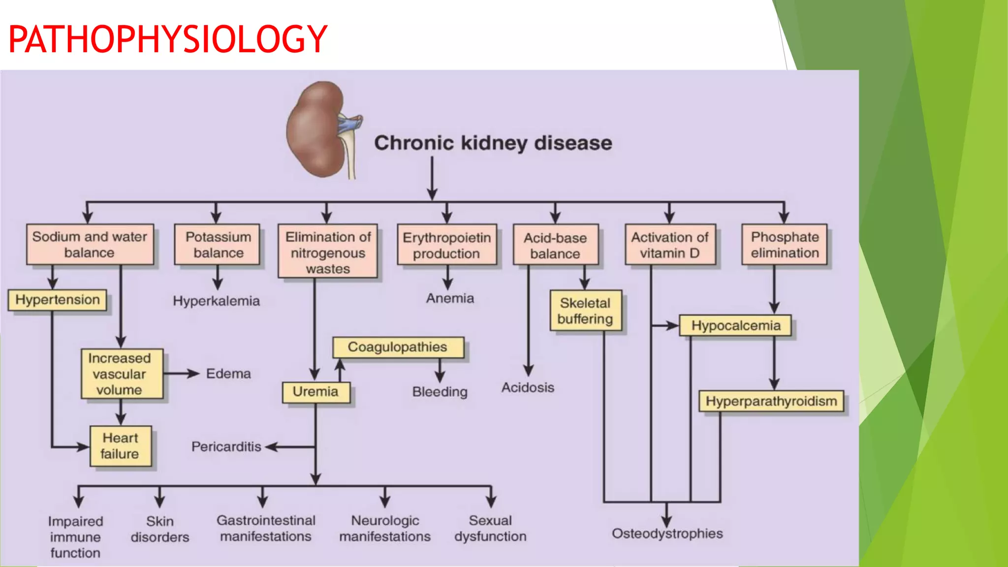 Chronic Kidney Disease (CKD) | PPTX