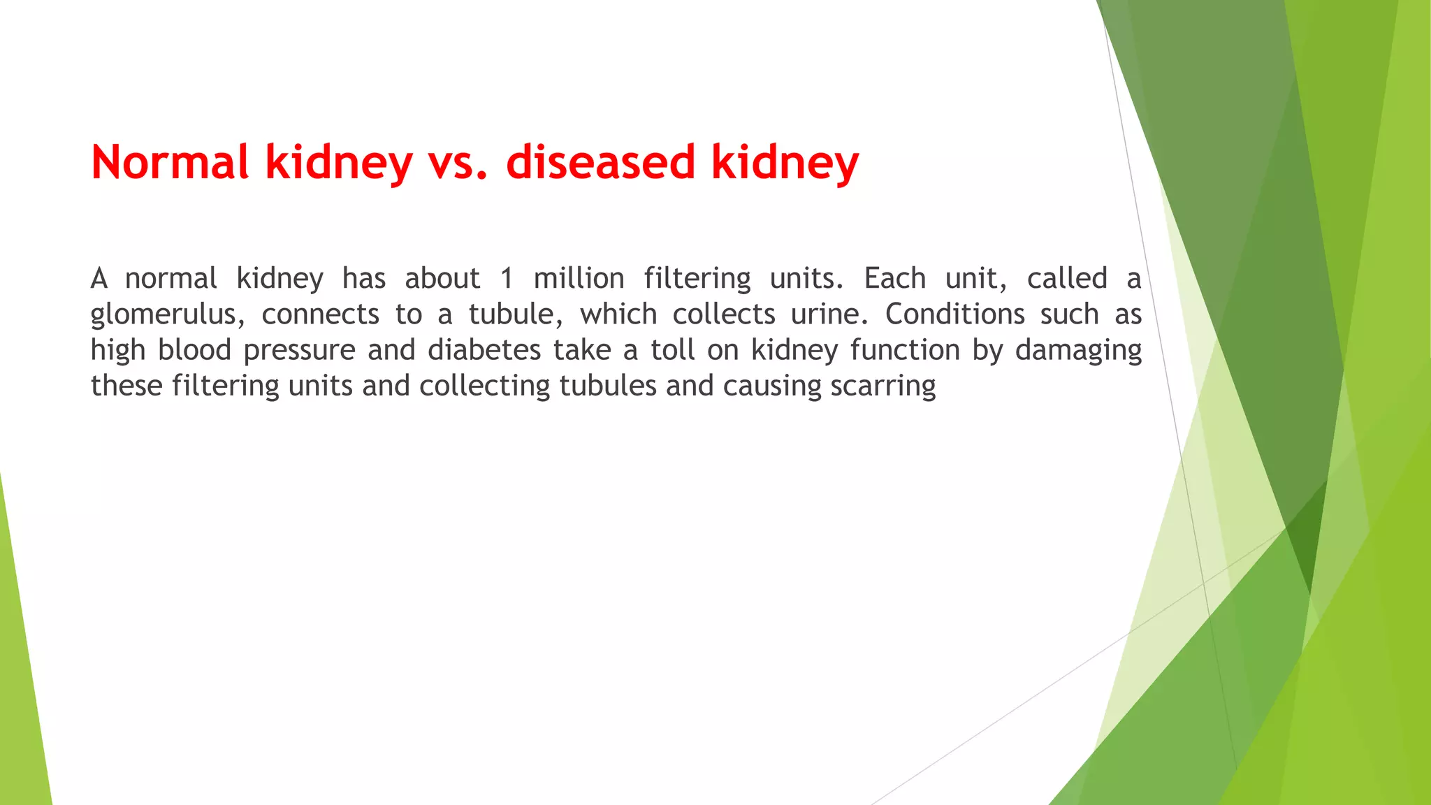 Chronic Kidney Disease (CKD) | PPTX