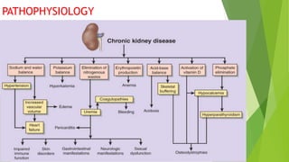 Chronic Kidney Disease (CKD) | PPTX