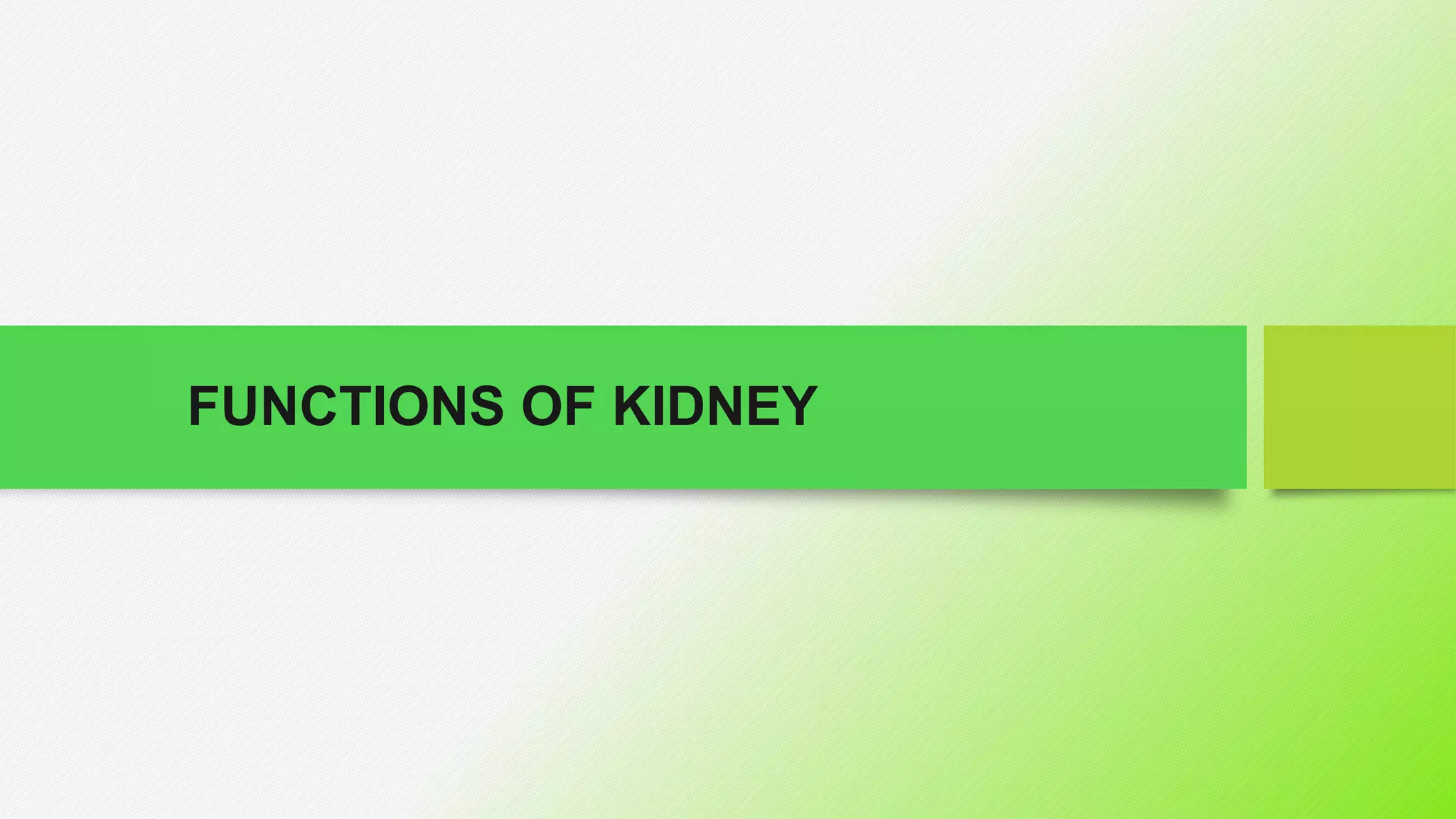 Chronic kidney disease and its management | PPTX