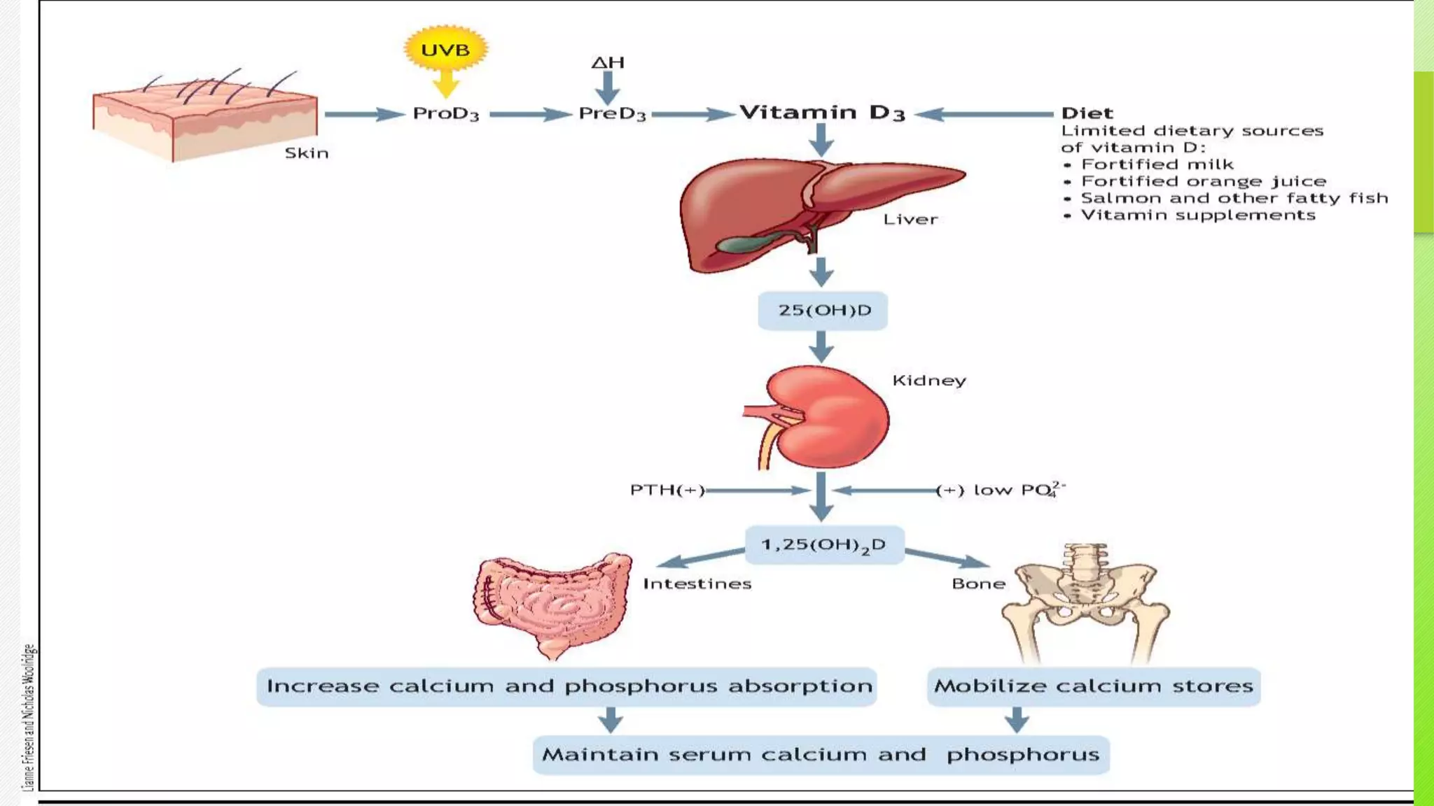 Chronic kidney disease and its management | PPTX