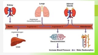 Chronic kidney disease and its management | PPTX