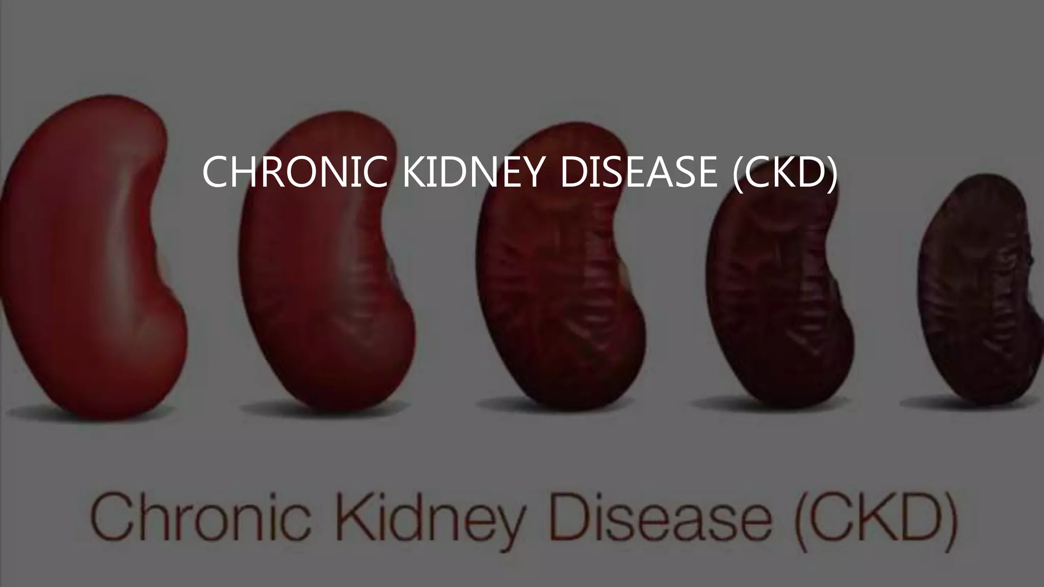 Pediatric Chronic Kidney Diseases.pptx