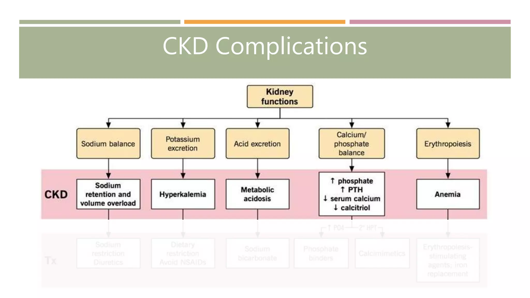 Pediatric Chronic Kidney Diseases.pptx