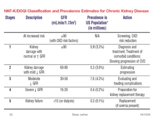 CKD CHRONIC KIDNEY DISEASE, DEFINITION, STAGE AND MNT.ppt