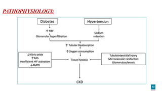 CKD (Chronic Kidney Disease) | PPTX