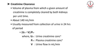 Chronic Kidney Disease - Lab Investigations & Imaging | PPTX